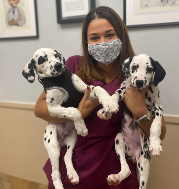 AAHA | Vet in Kissimmee | Flora Family Vet