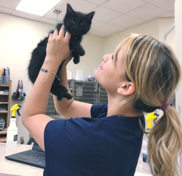 AAHA | Vet in Kissimmee | Flora Family Vet