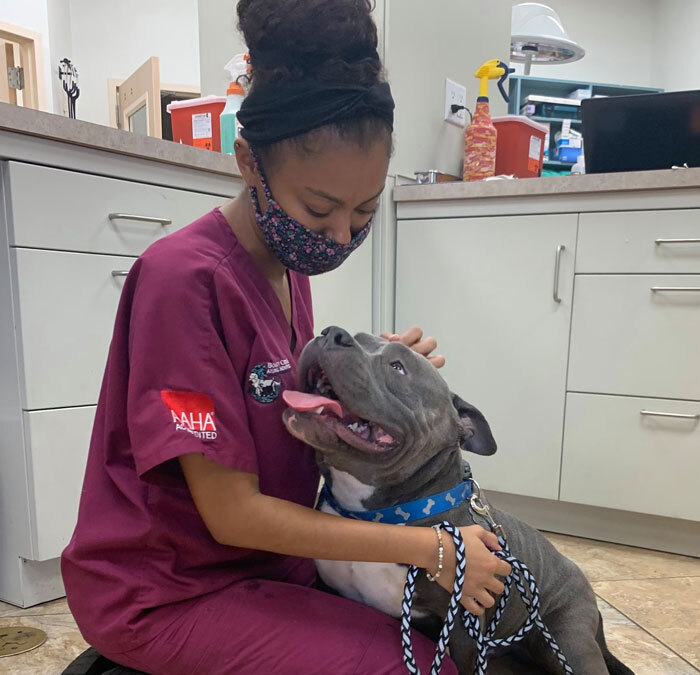 AAHA | Vet in Kissimmee | Flora Family Vet