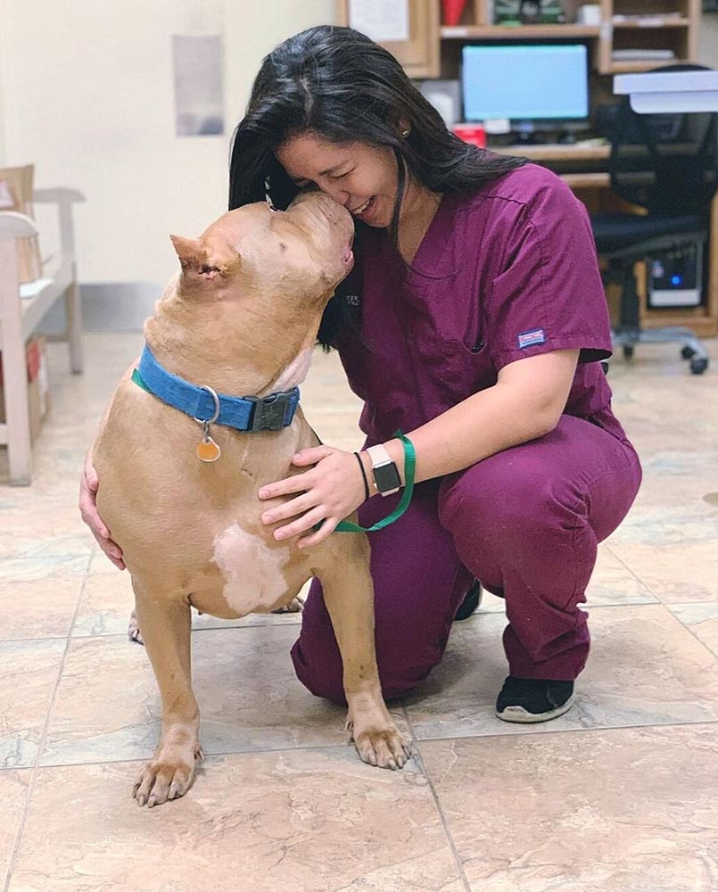 Our Story - Flora Family Vet