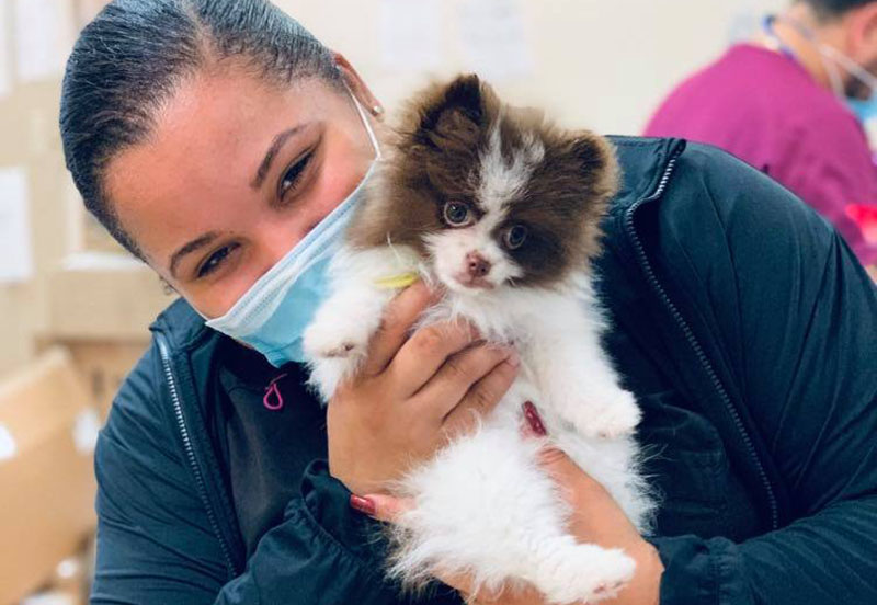 Our Story - Flora Family Vet