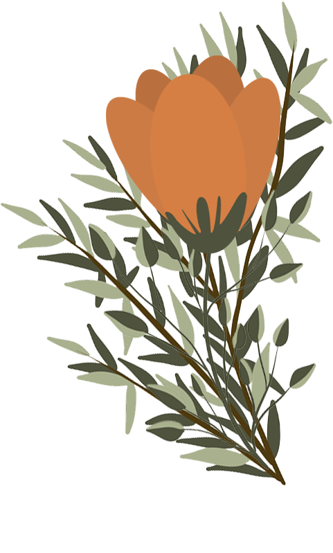 Our Story - Flora Family Vet