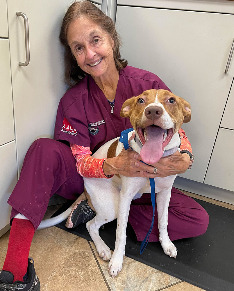 Our Story | Vet in Kissimmee | Flora Family Vet